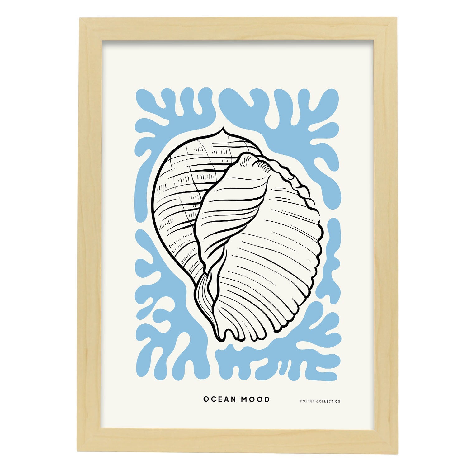 Affiche Avec Des Plantes Marines Et Des Animaux Scotch Bonnett Musschel ...
