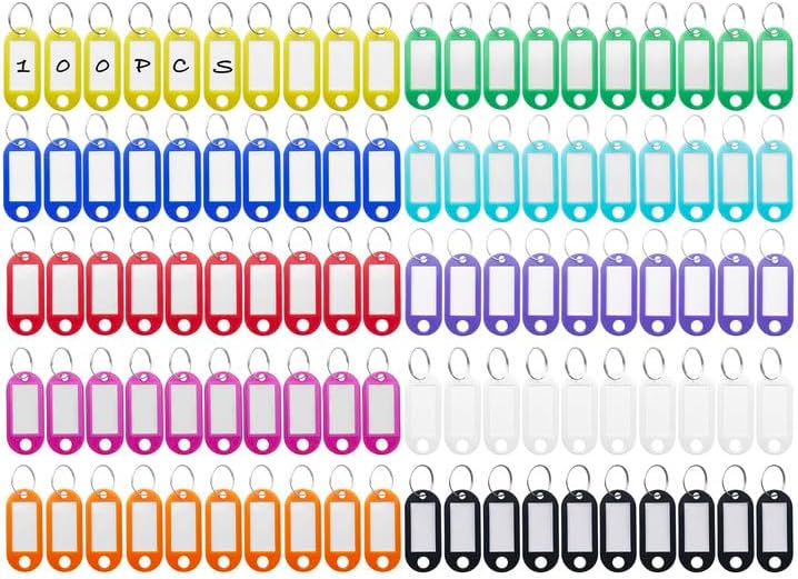 100 Pièces Porte-Clés, Étiquettes de Clé en Plastique, Inscriptibles ...