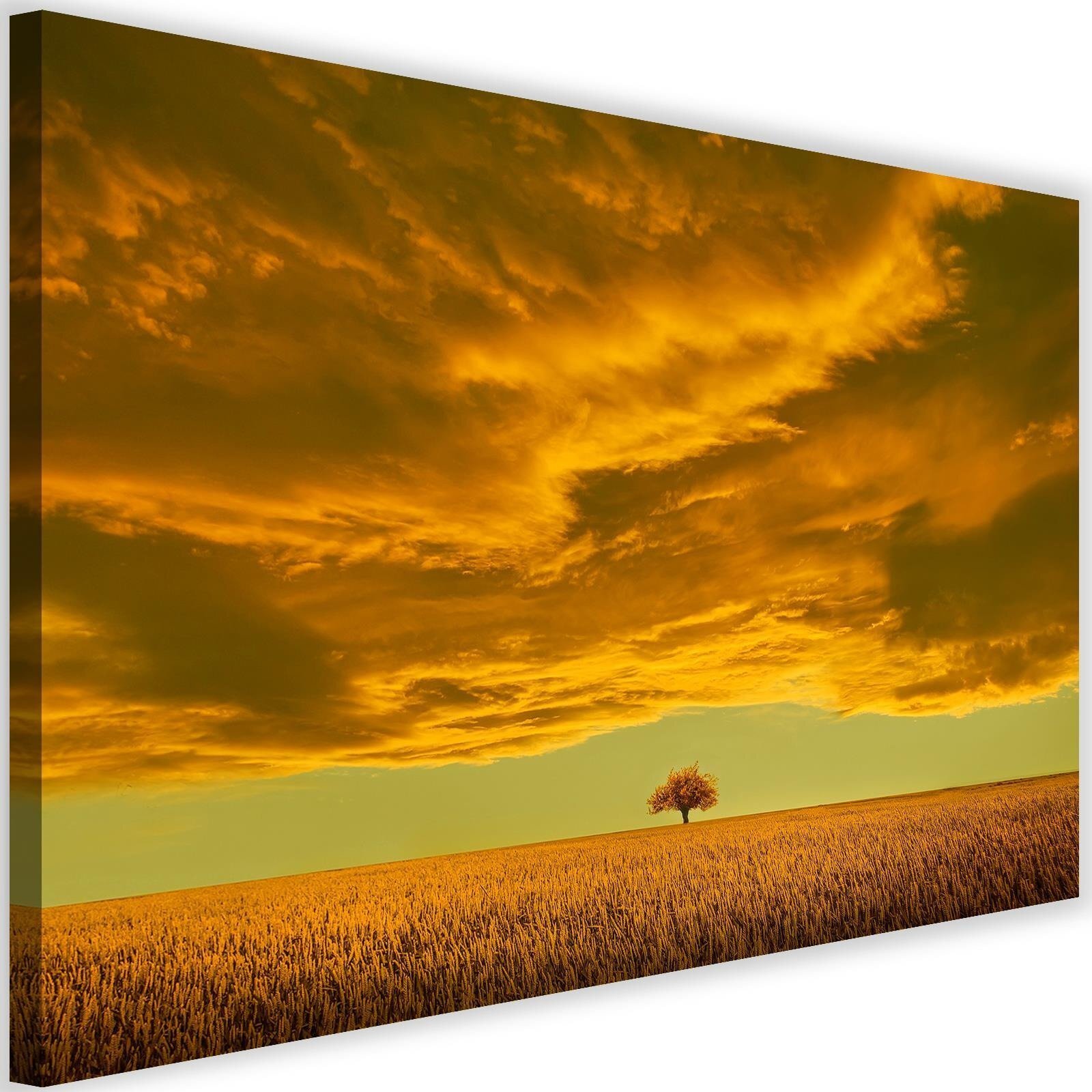 Tableau arbre solitaire dans le champ 4 - 60 x 40 cm | Leroy Merlin