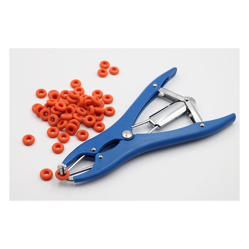 Pince à castration élastique en acier inoxydable pour bétail, porc ...