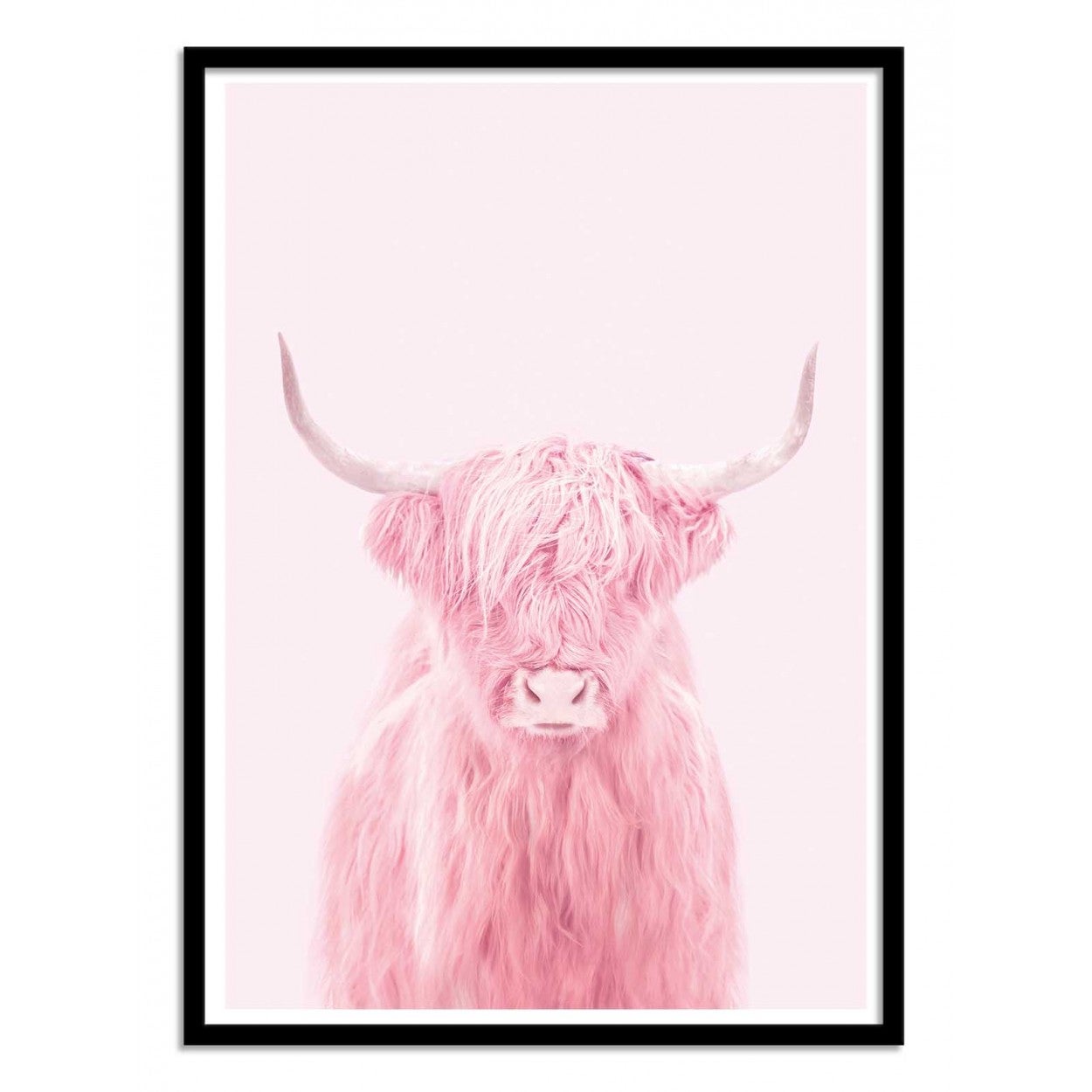 Art-Poster - Highland cow - Paul Fuentes - avec cadre noir 30 x 40 cm ...
