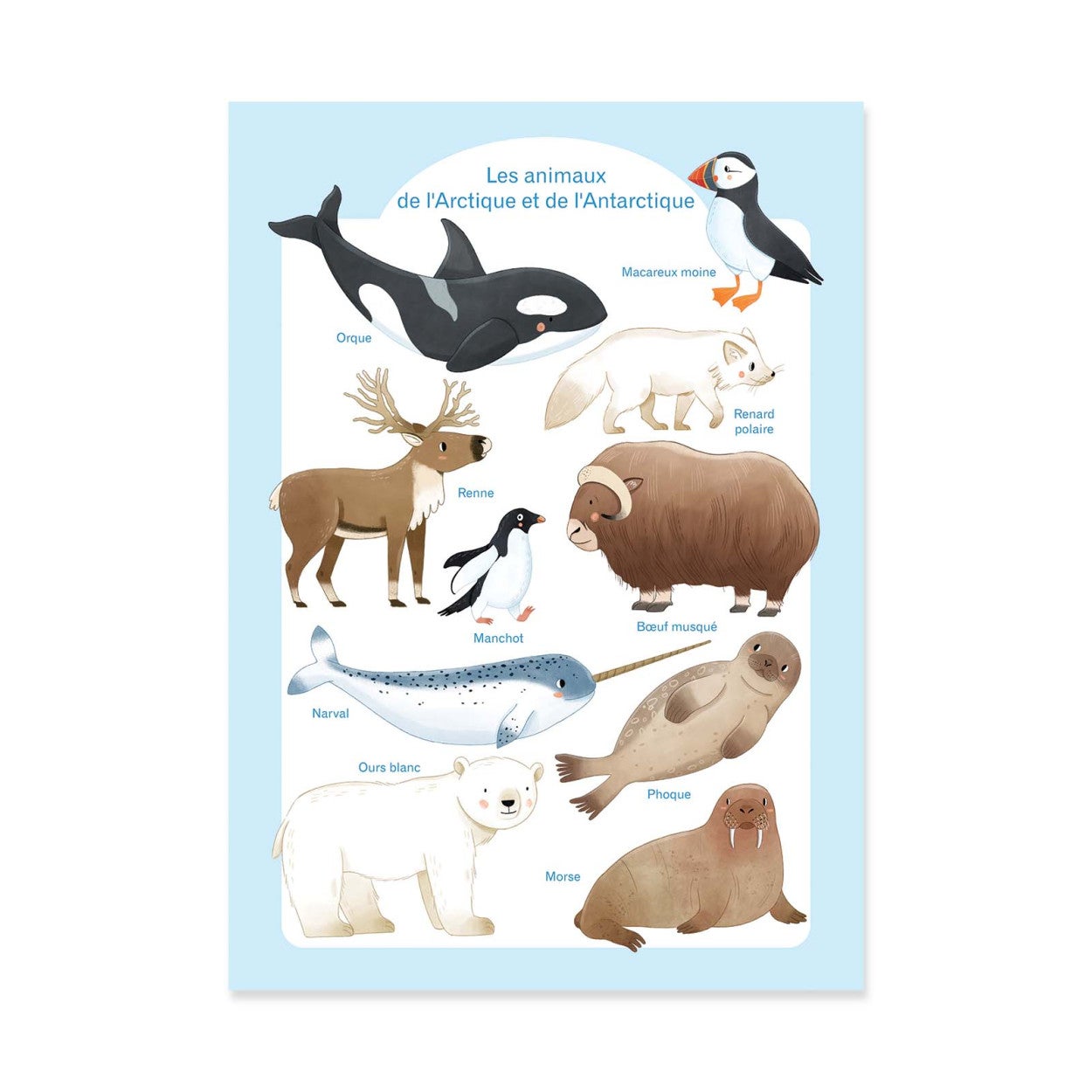 Art-Poster - Les animaux de l'Arctique - Judith Loske - 50 x 70 cm ...