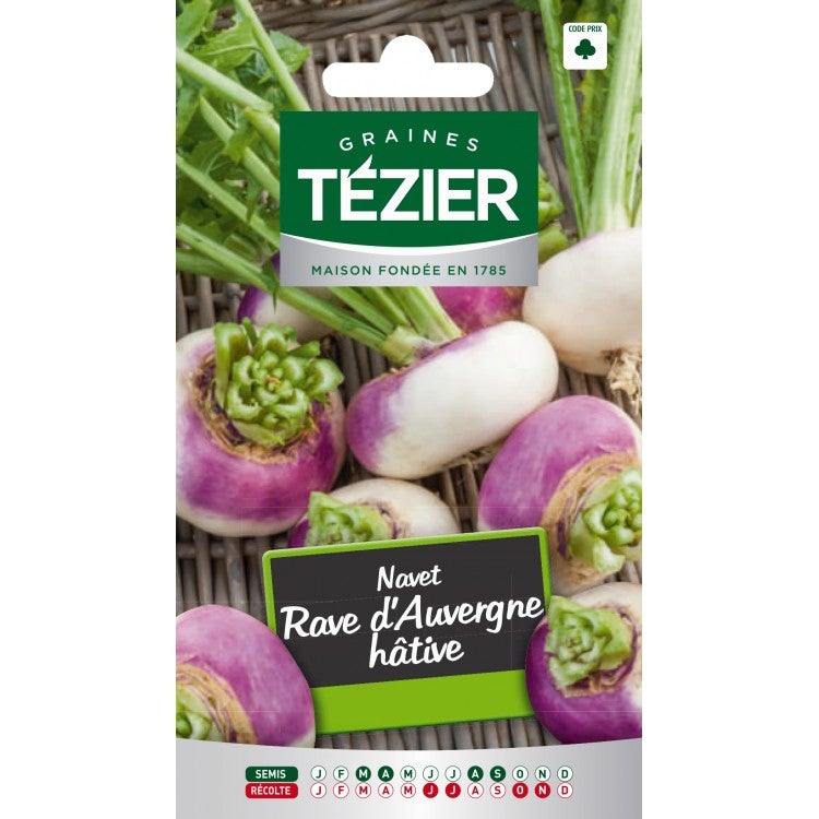 Tezier - Navet Rave d'Auvergne hâtive | Leroy Merlin