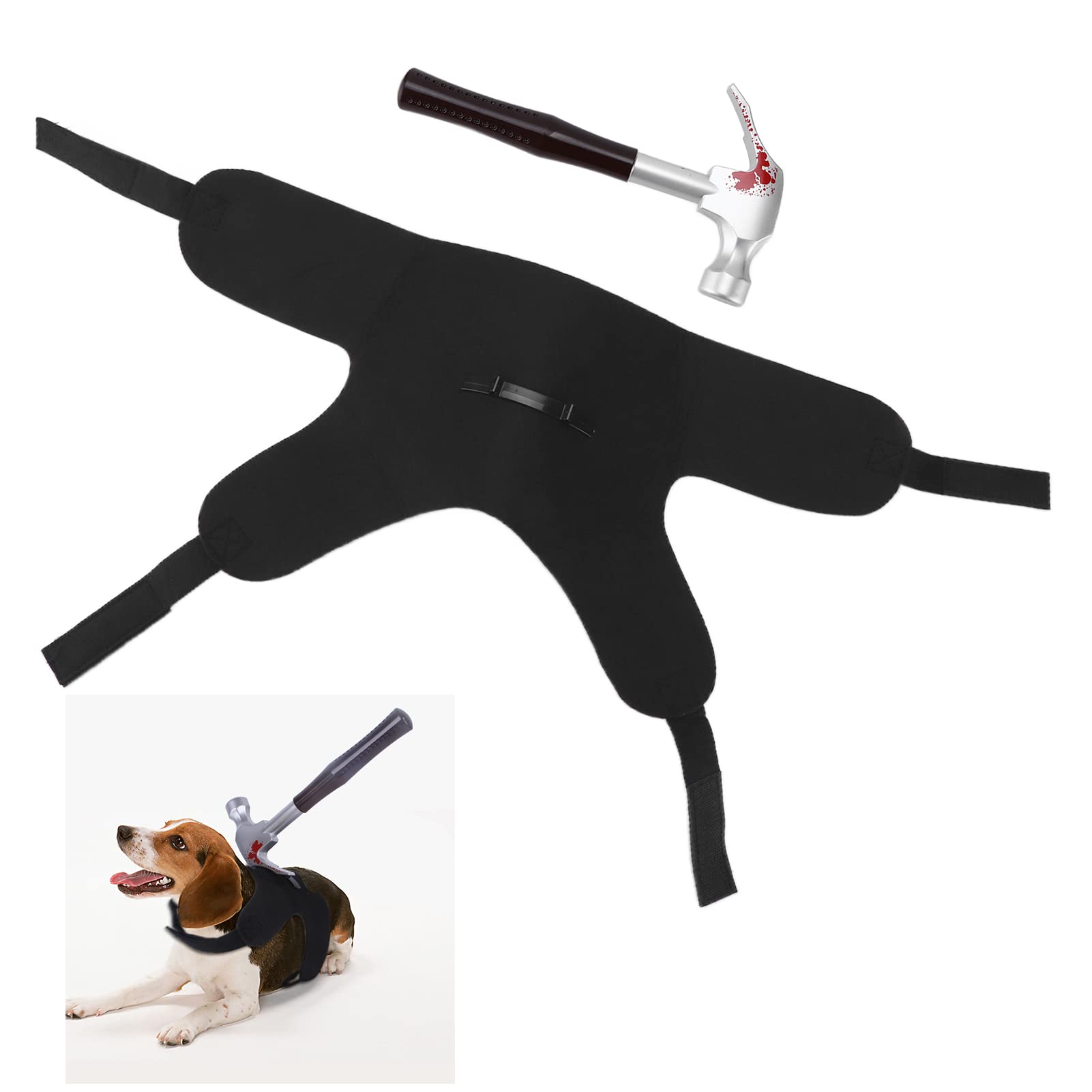 Costume d'Halloween pour animal de compagnie, costume d'Halloween pour ...