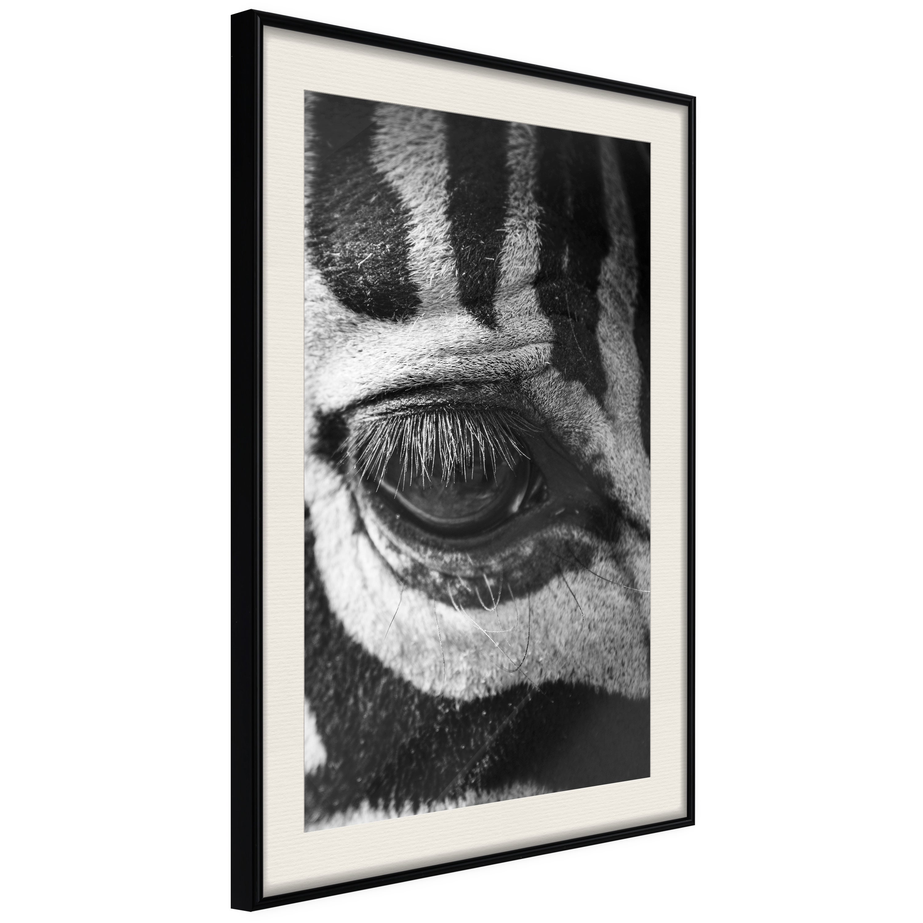 Poster et affiche - Zebra Is Watching You 30x45 cm | Leroy Merlin