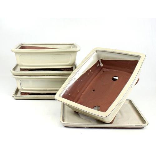 PLANETA HUERTO | Tiesto Bonsái Rectangular 25 cm con Plato Crema ...