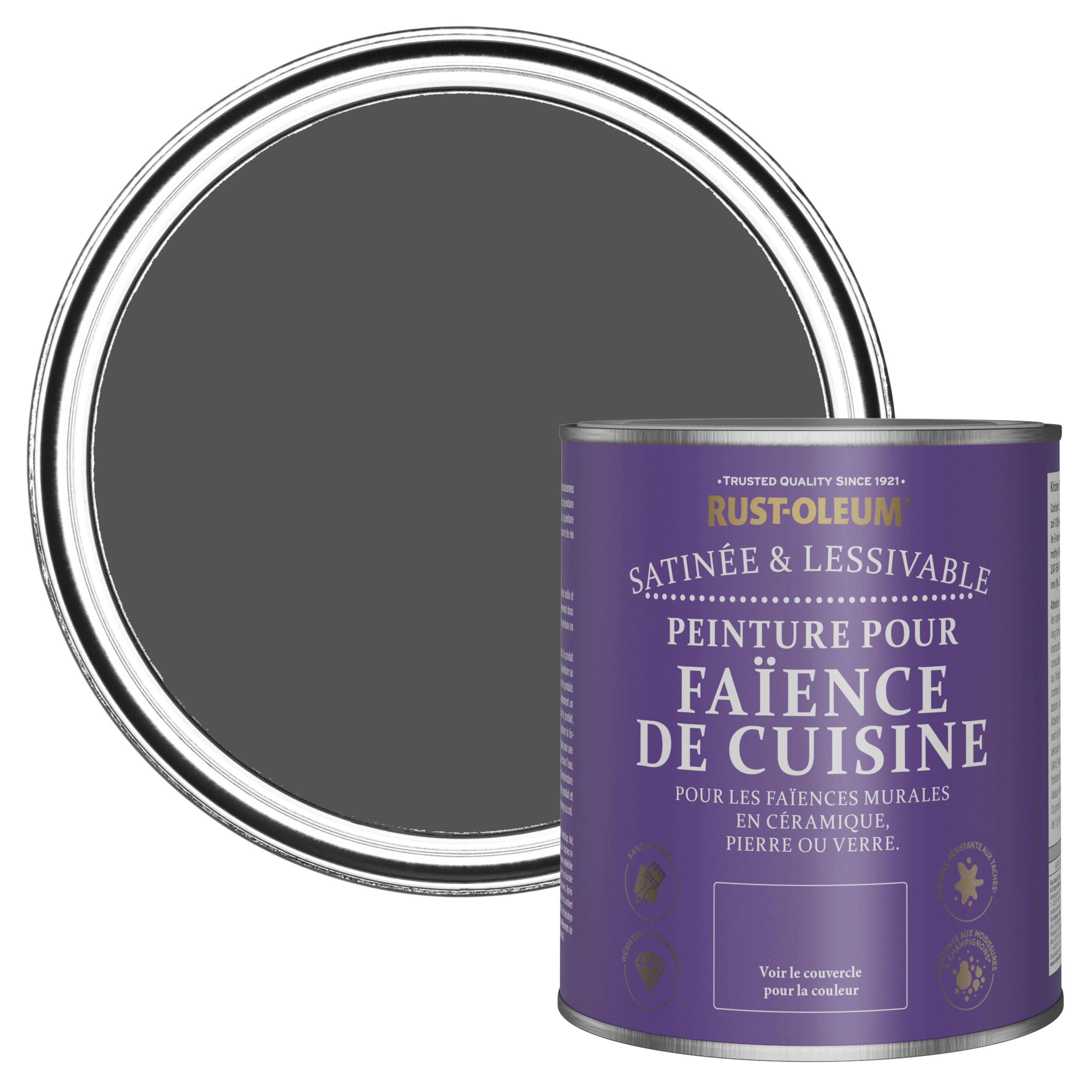 Rust-Oleum Peinture Grise pour Faïence de Cuisine, Satin - Graphite ...