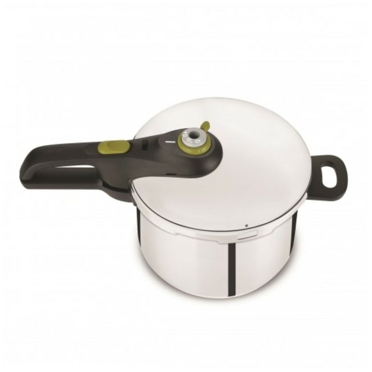 Olla Tefal P2530737 6 L Acero Inoxidable | Leroy Merlin