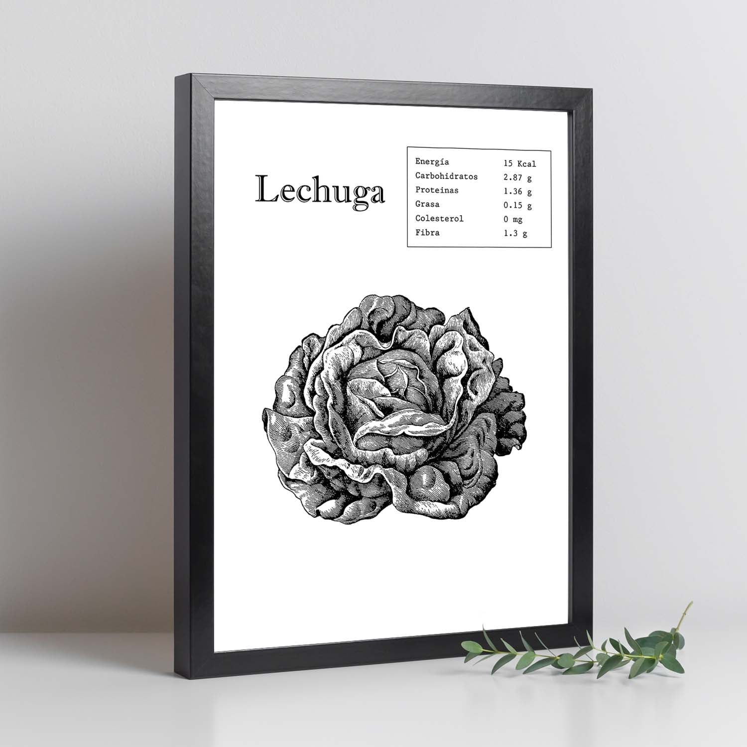 Poster De Lechuga. Láminas De Frutas Y Verduras. Sin Marco - A4 | Leroy ...