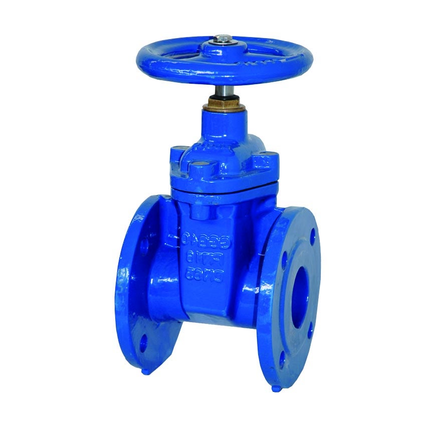 Válvula de compuerta para agua dn80 pn16 | Leroy Merlin