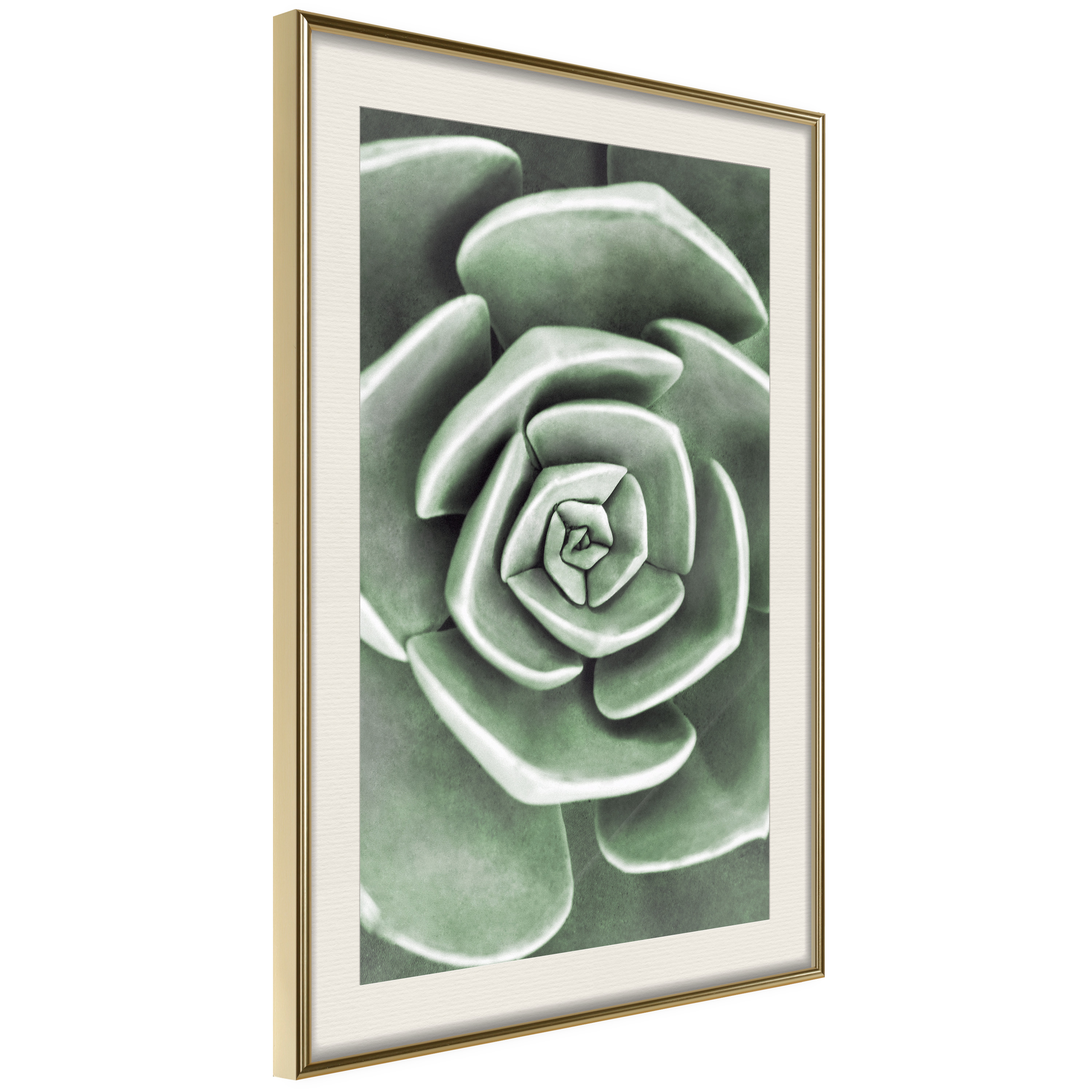 Poster - Robust Plant 20x30 cm | Leroy Merlin