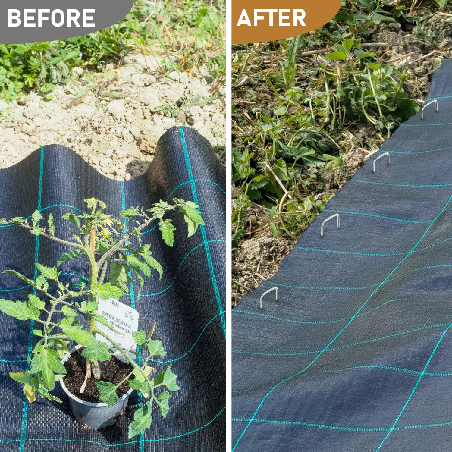 100 picchetti di ancoraggio a terra zincati 15x2,5 cm picchetti di ...