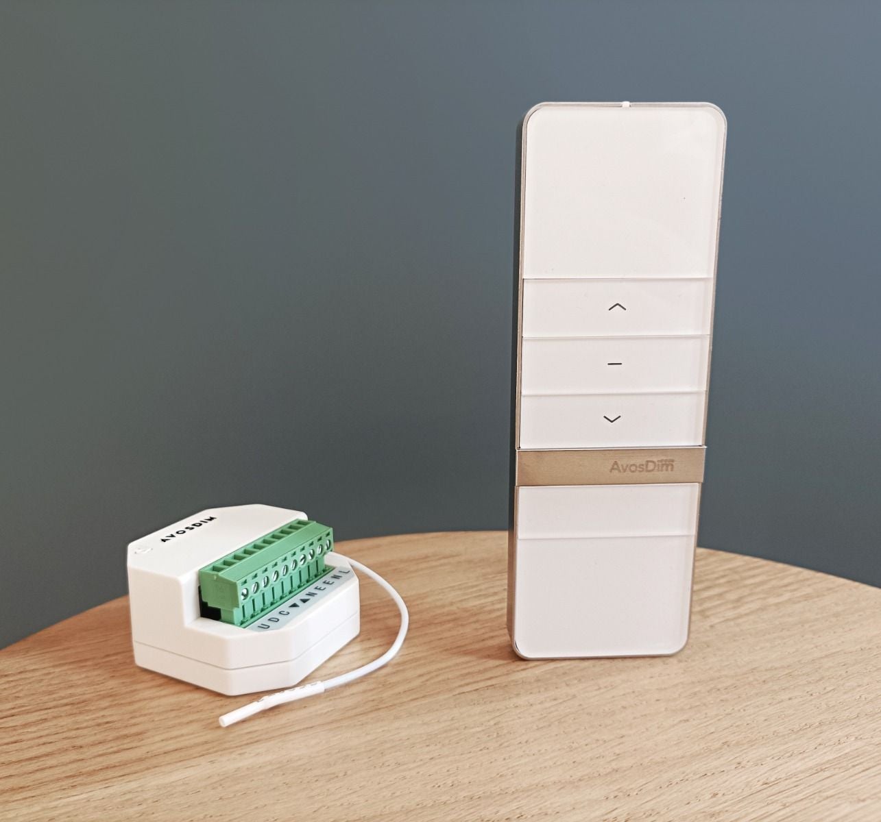 Kit Recepteur Radio Universel + Télécommande pour Volet Roulant | Leroy ...