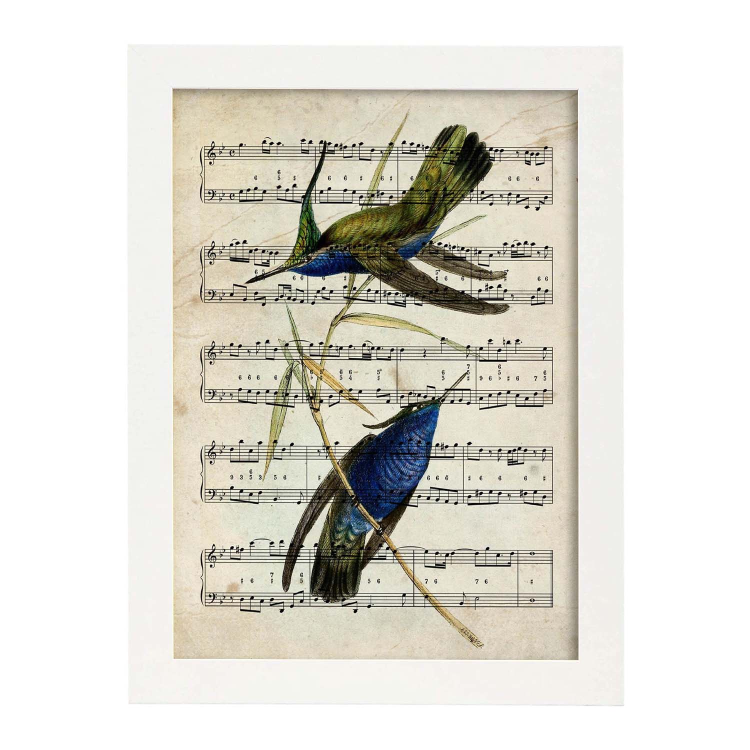 Affiche D'oiseau. Feuille De Colibri Bleu Avec Des Scores. Pajaritos ...