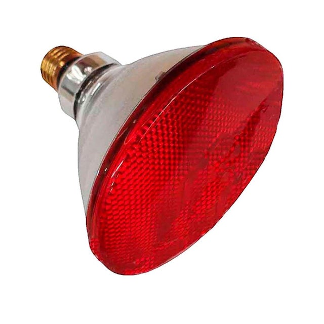 Ampoule dimmable au meilleur prix | Leroy Merlin