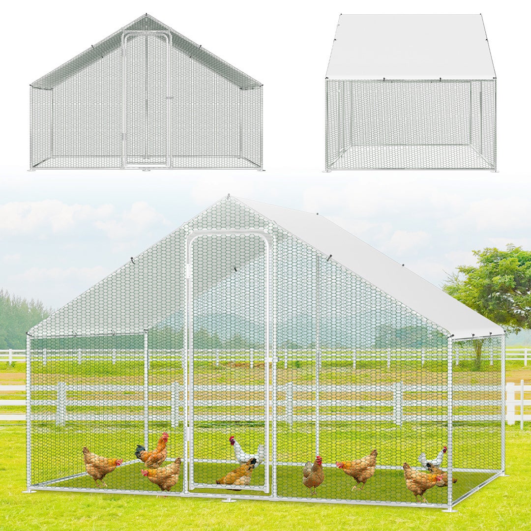 Gallinero 6 m² 3×2 m – Parque cercado con malla, acero galvanizado ...