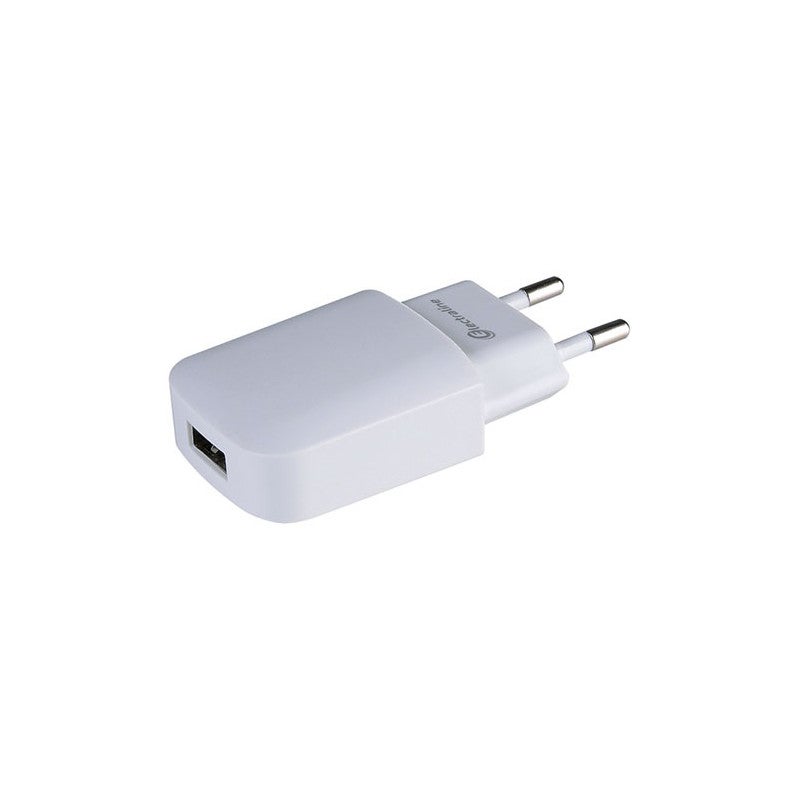 ADAPTATEUR MALE 6A FEMELLE USB 2A ELECTRALINE - 500340 | Leroy Merlin