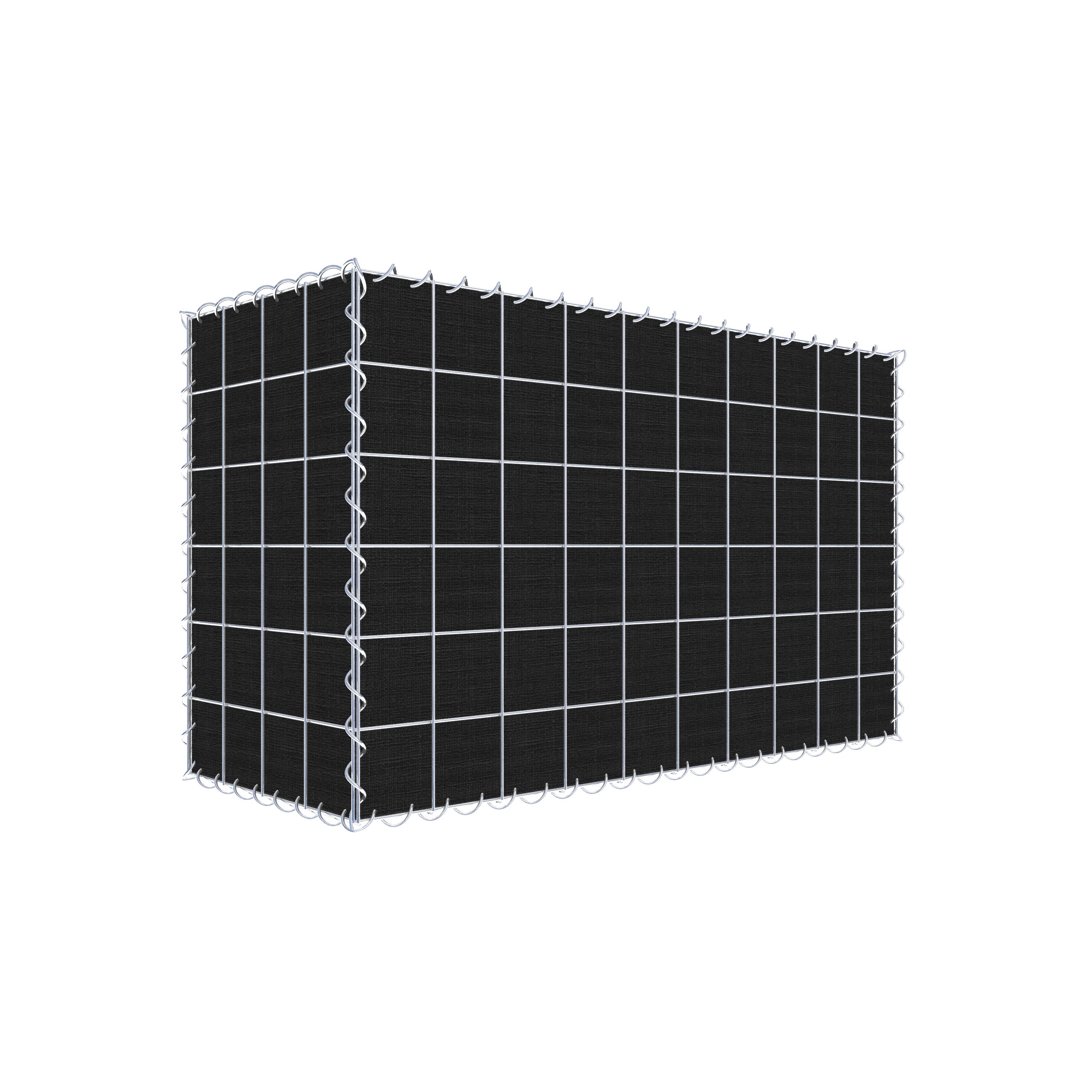 Mur gabion végétal avec non-tissé 100 cm x 60 cm x 40 cm (L x H x P ...