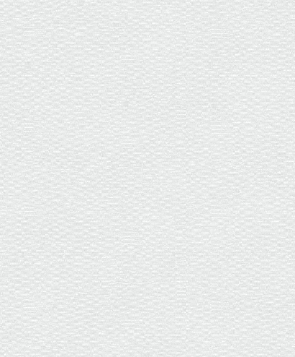 Papier Peint intissé impression ultra mat uni gris - 53 cm x 10.05 m ...