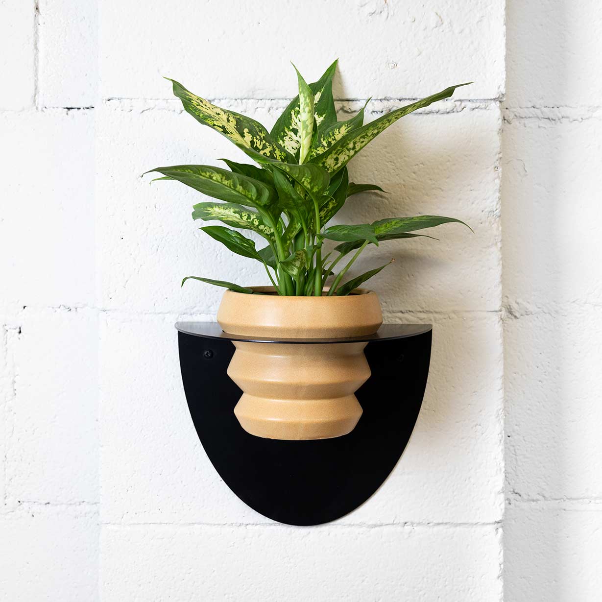 Kion Home - Macetero Metálico Para Pared Andalucía | Acero | Diámetro ...