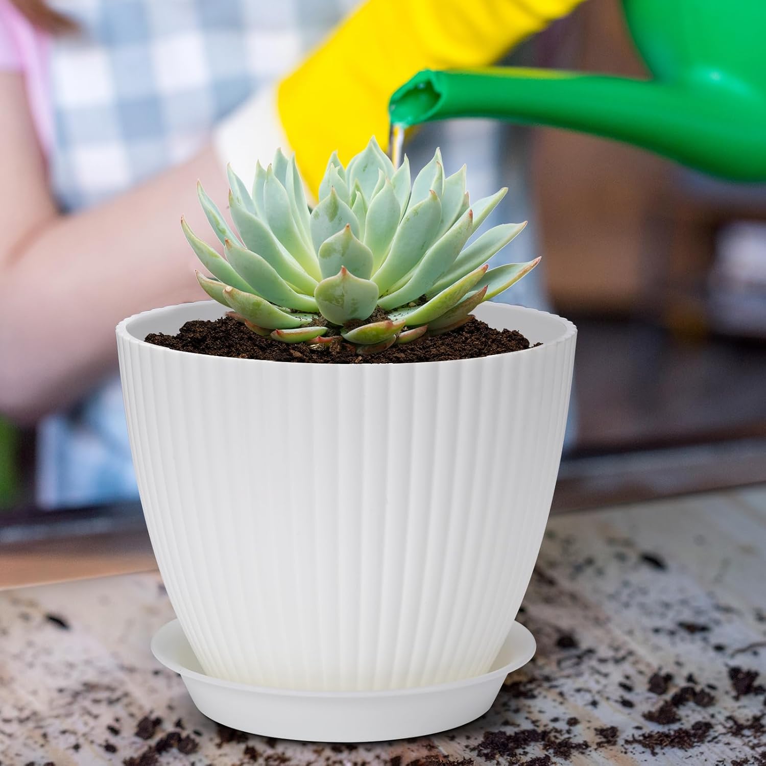 Cactus-Blanc 8 Pots de Fleurs avec Trou, Soucoupes Rondes, Petits Cactus, Set À Herbes, Bacs À ...