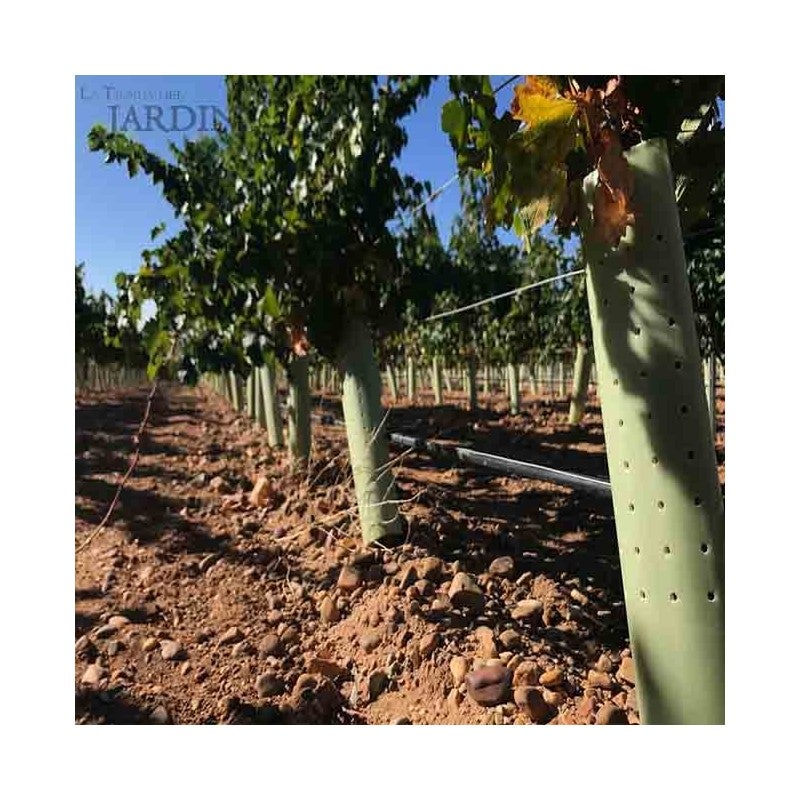 Tube de protection des arbres 80 cm. Protégez vos plantes des rongeurs ...