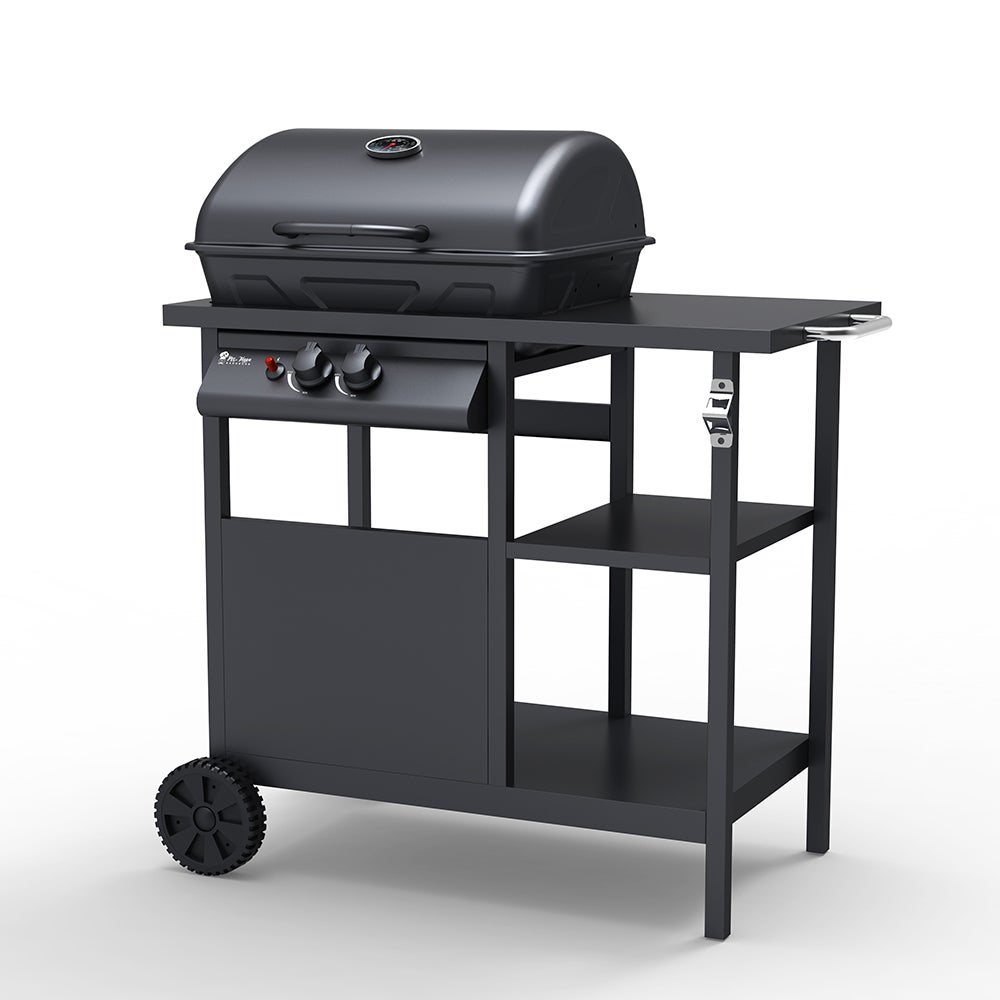 Barbecue BBQ à gaz en acier inoxydable 2 brûleurs grille Bagnét Verd Fr ...