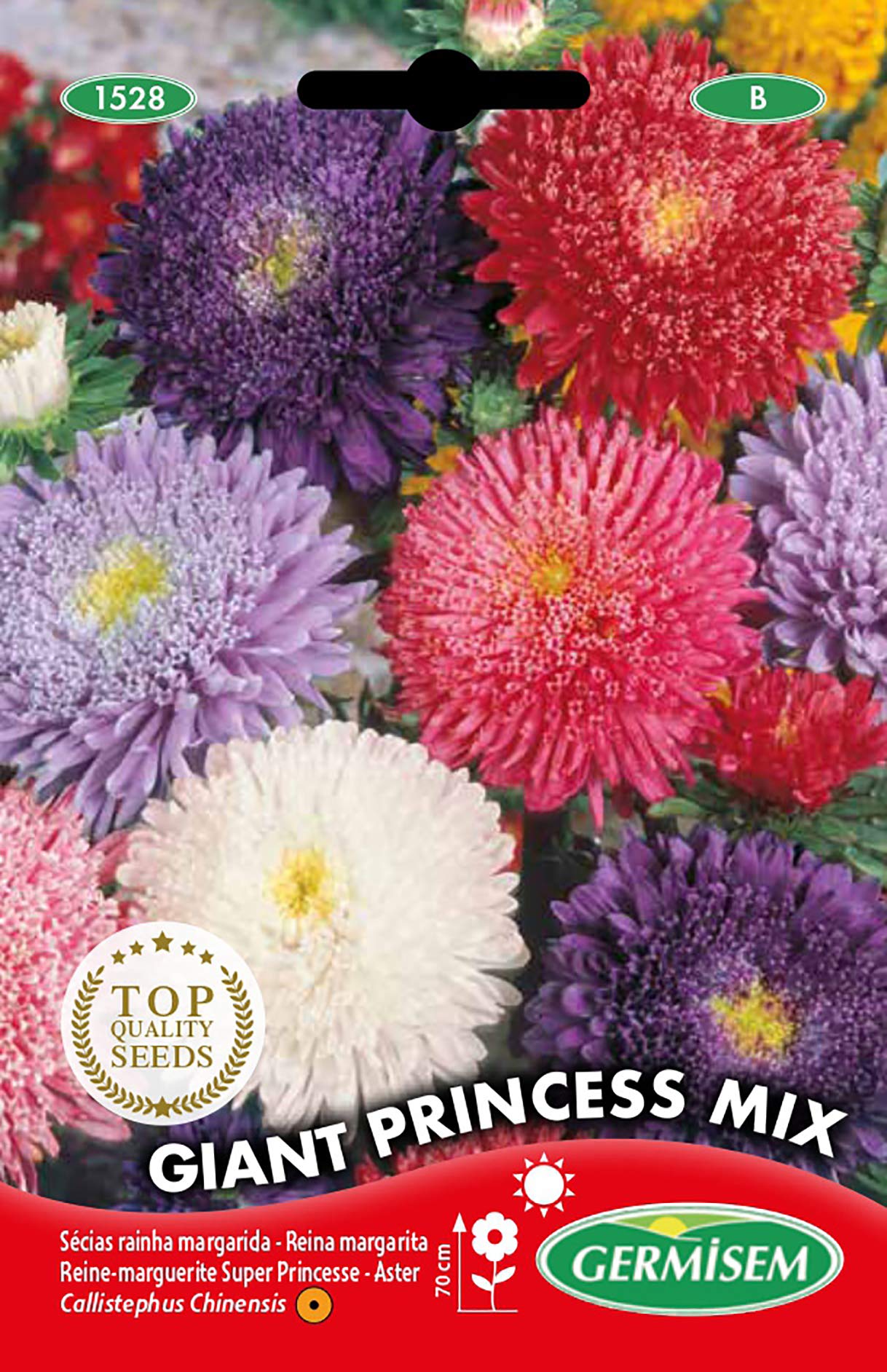 Germisem Giant Princess Mix Semi di Aster Cinesi 1 g | Leroy Merlin