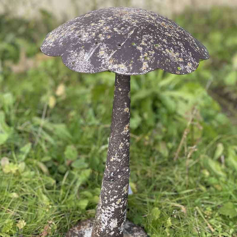 Grand champignon fer 17x17x31cm | Leroy Merlin
