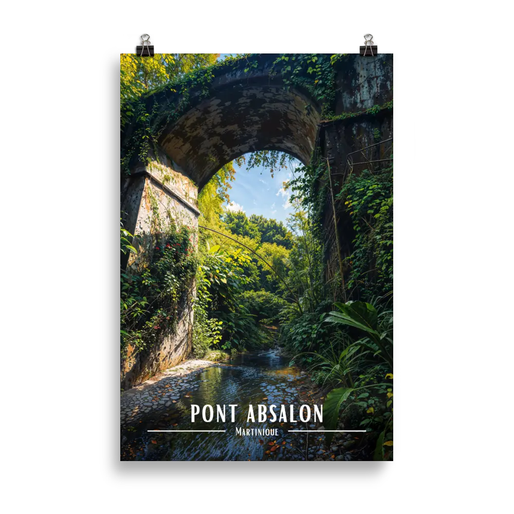 Affiche de Martinique 'Pont Absalon' | Leroy Merlin