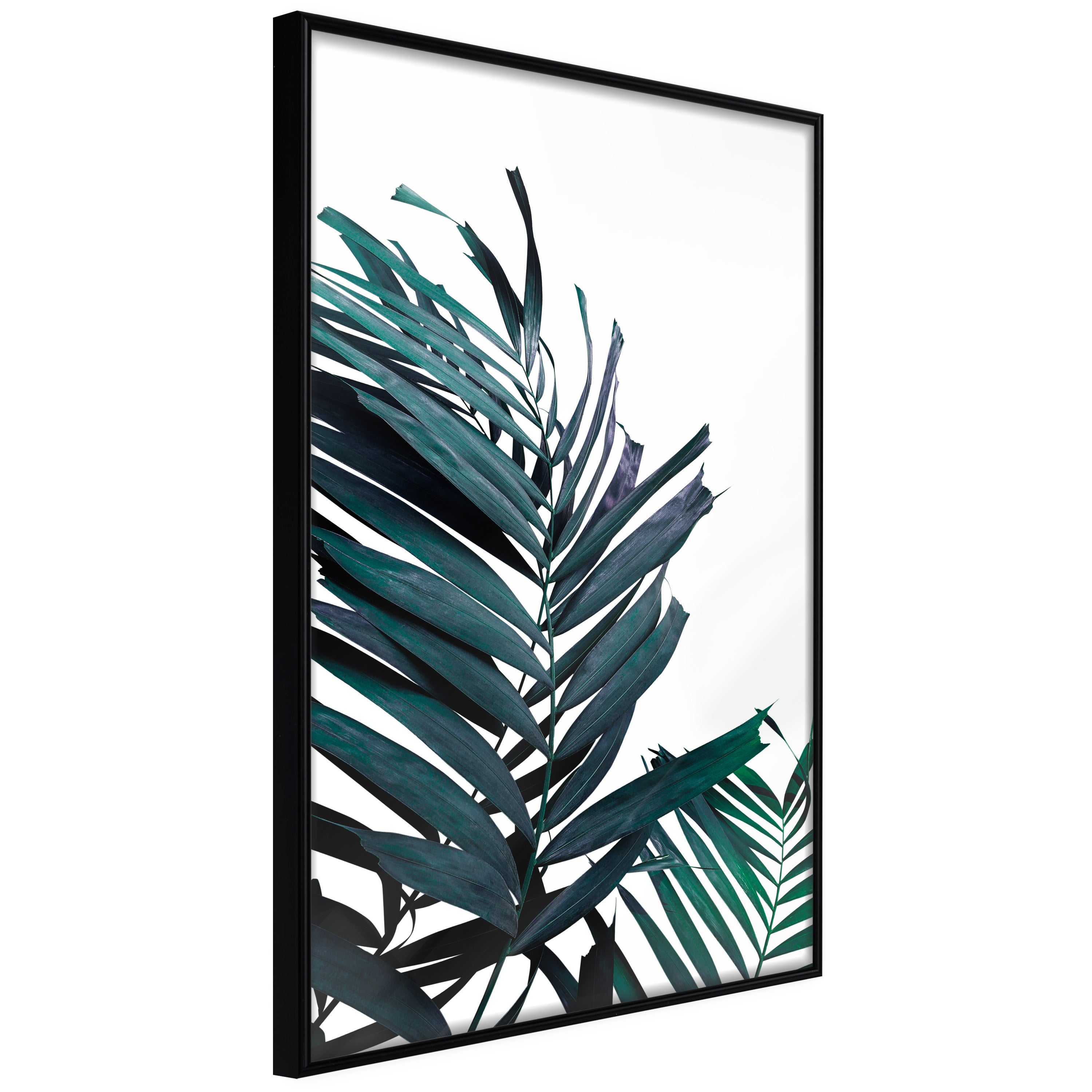 Poster et affiche - Evergreen Palm Leaves - 20x30 | Leroy Merlin