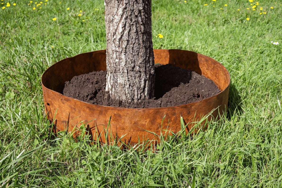 Wovar Bordure arbre acier Corten Ø 100 cm - Par pièce | Leroy Merlin