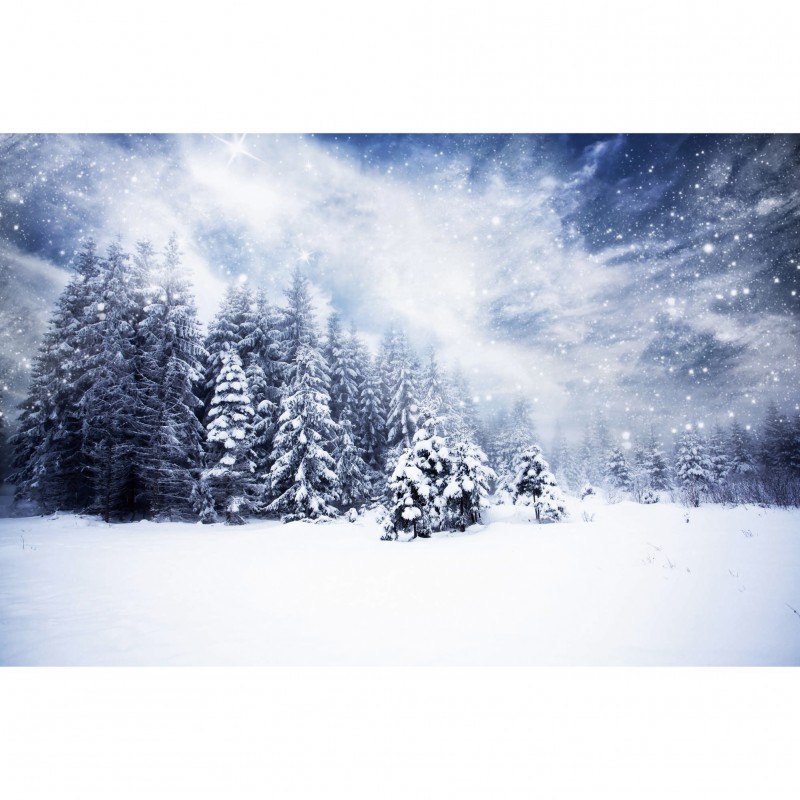 Tableau verre acrylique Sous La Neige 90 x 60 cm - Décoration murale ...