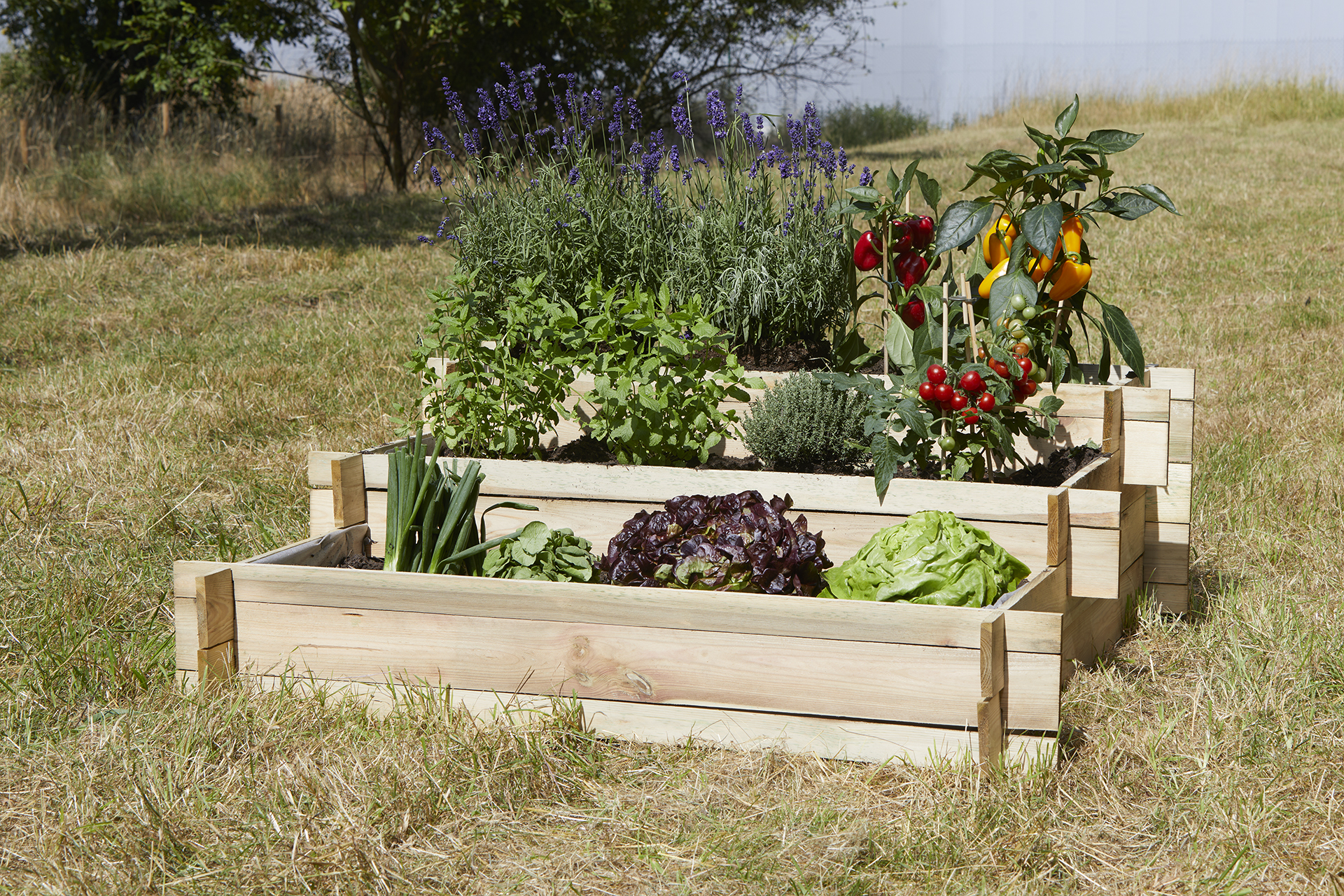 Potager Lipsi en pin, 3 étages L.120 x l.120 x H.40 cm | Leroy Merlin