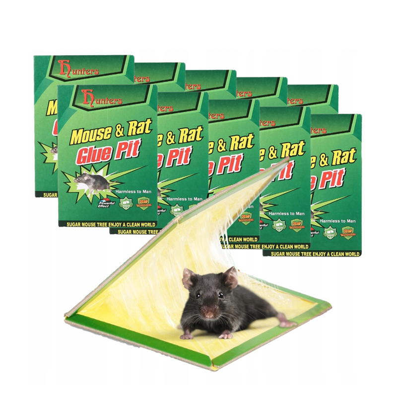 10 pezzi di trappole adesive per insetti, 16,8*12 cm, trappola per ... 10 pezzi di trappole adesive per insetti, 16,8*12 cm, trappola per ...