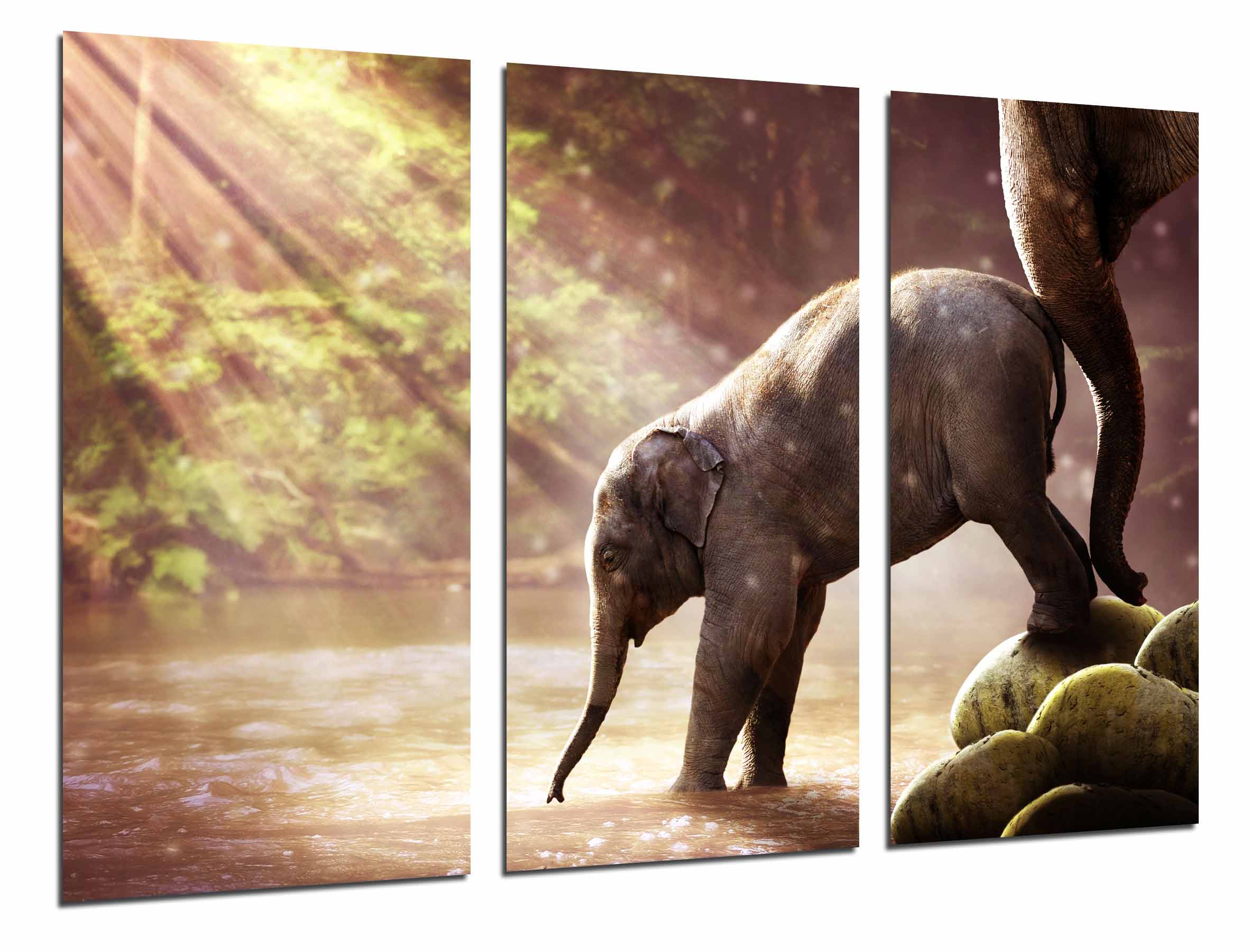 Set de posters Atardecer Lago Naturaleza Animal Cria Elefante y Madre ...