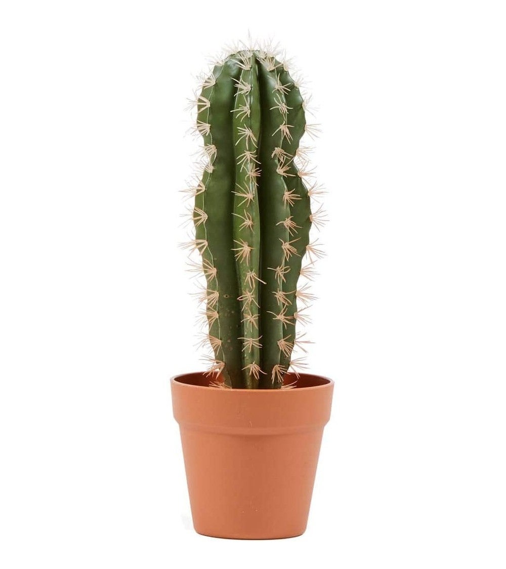 Cactus artificiel Stetsonia Coryne - Décoration naturelle sans ...