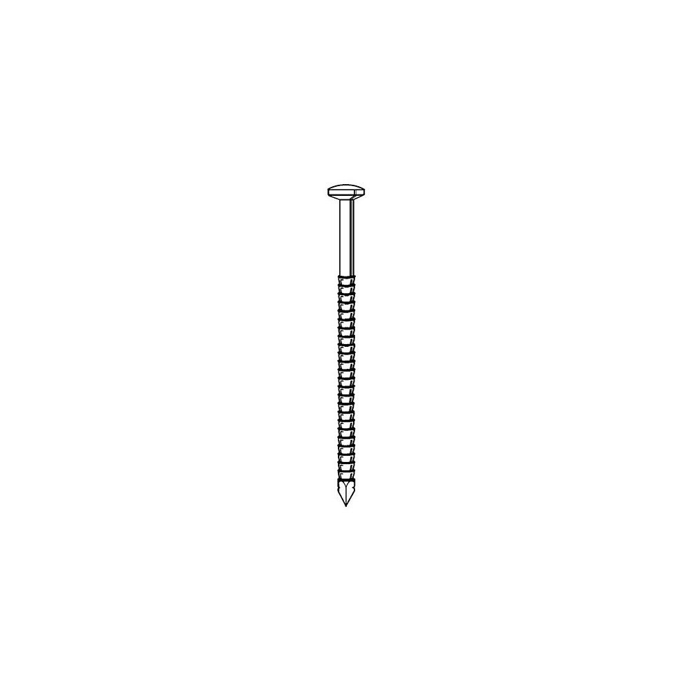 Pointe annelee INOX A4 en vrac tete bombee (TB) 25/27 x 30 mm 1 kg ...