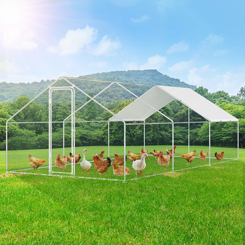 Enclos Poulailler 24 m² 3x8x2 m grillage hexagonal, porte verrouillable ...