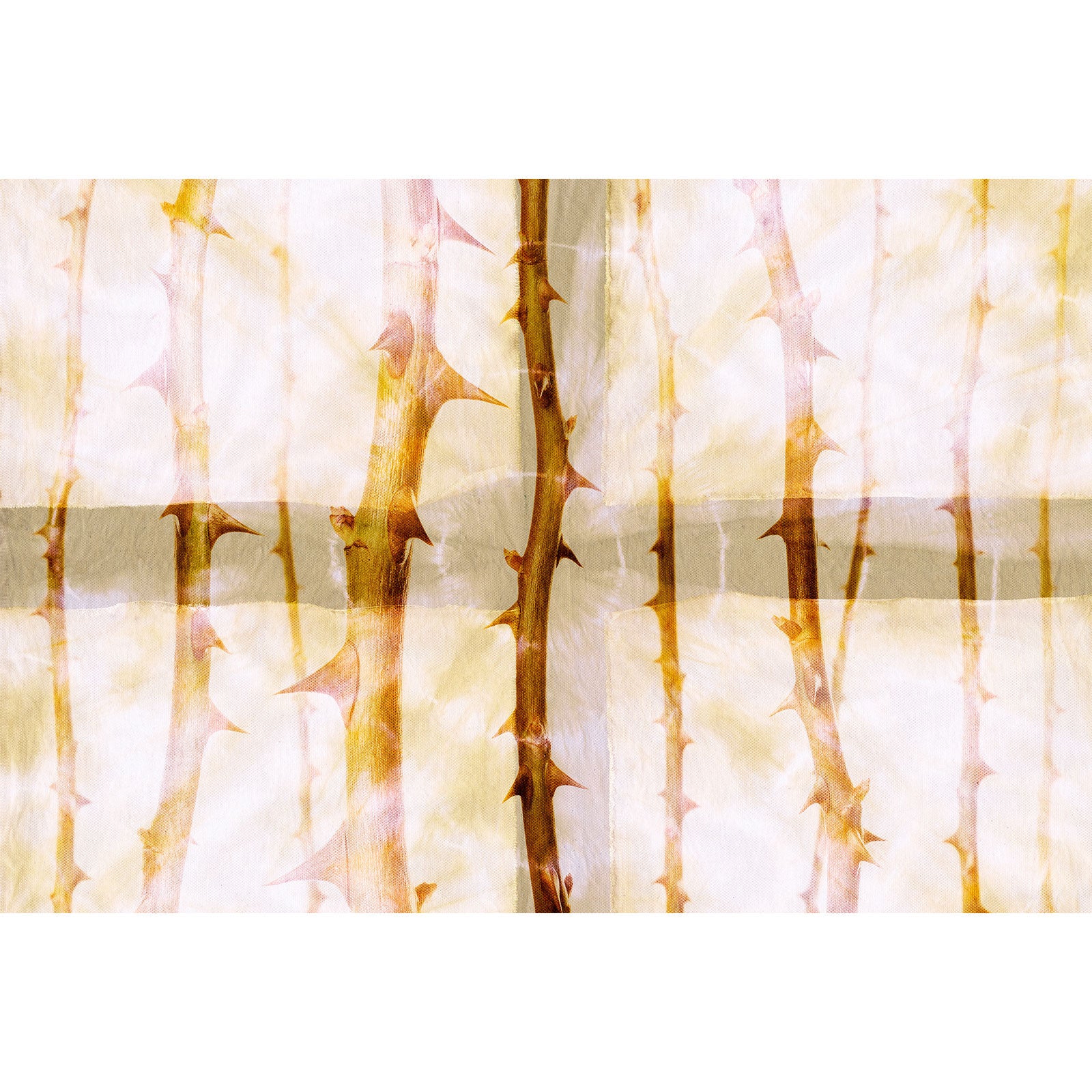 Papier peint panoramique doré nature avec ronces Tapisserie panoramique ...