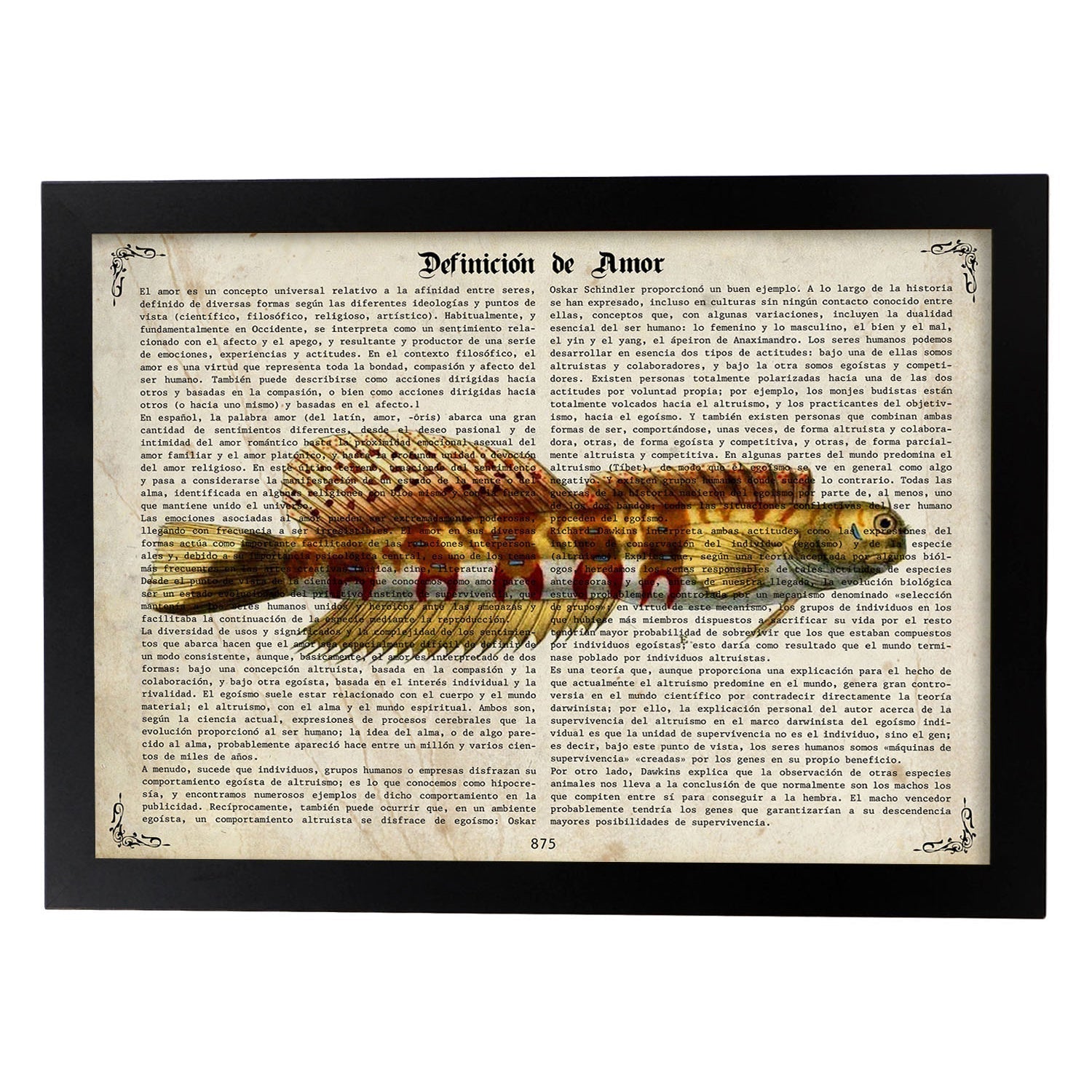 Poster De Peces Marinos. Lamina De Salarias 2 Con Definicion. Diseño De ...