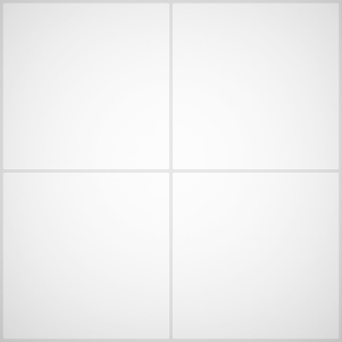 Fondo Riempitivo Cementante per Legno Cemix - 2,5 - Bianco | Leroy Merlin