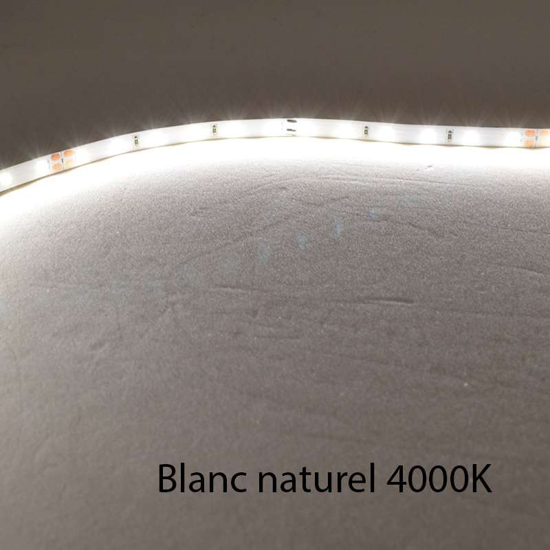Tira LED Blanca 60 LED/m 4,8W/m IP20 10m - Blanco Natural 4000K | Leroy ...