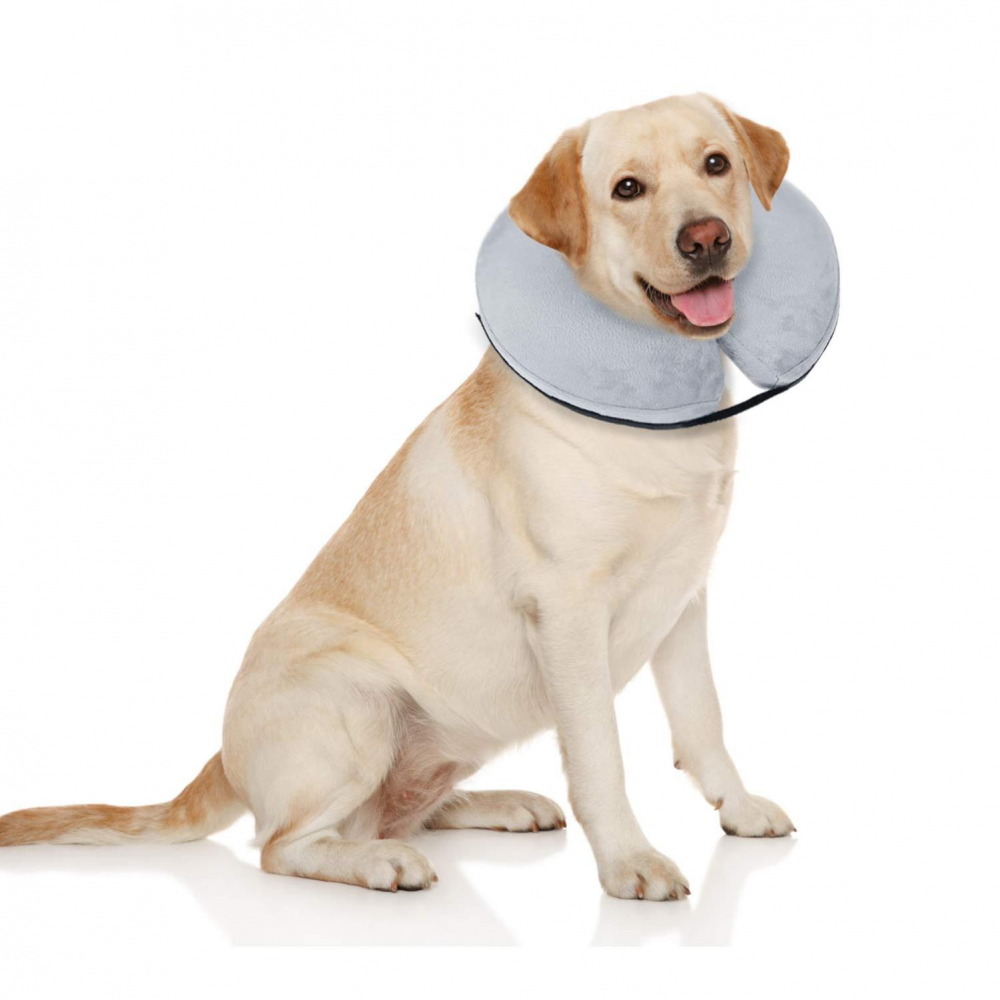 Collar protector inflable para perros y gatos - Recuperación de ...