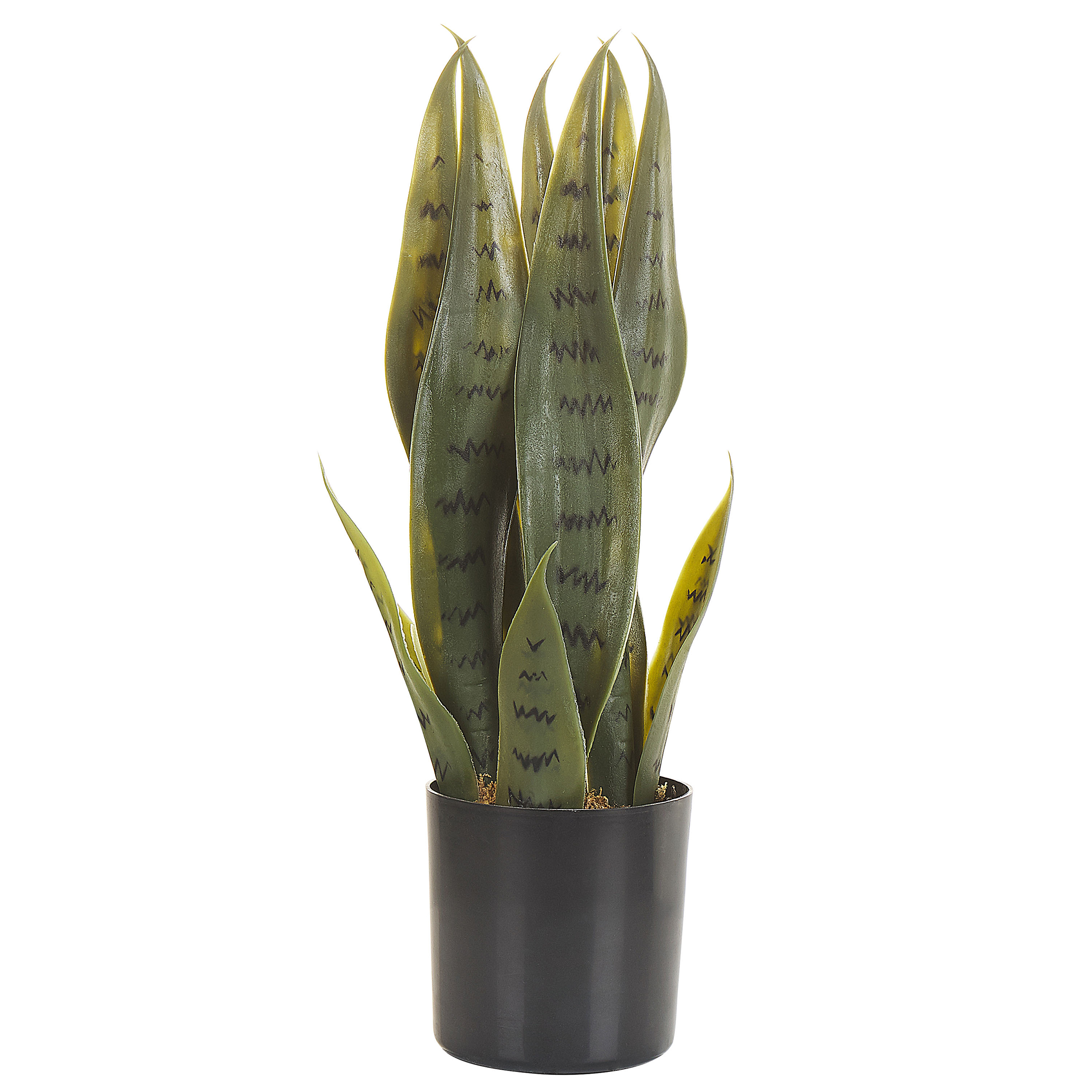 Plante artificielle SNAKE PLANT 40 cm Vert | Leroy Merlin