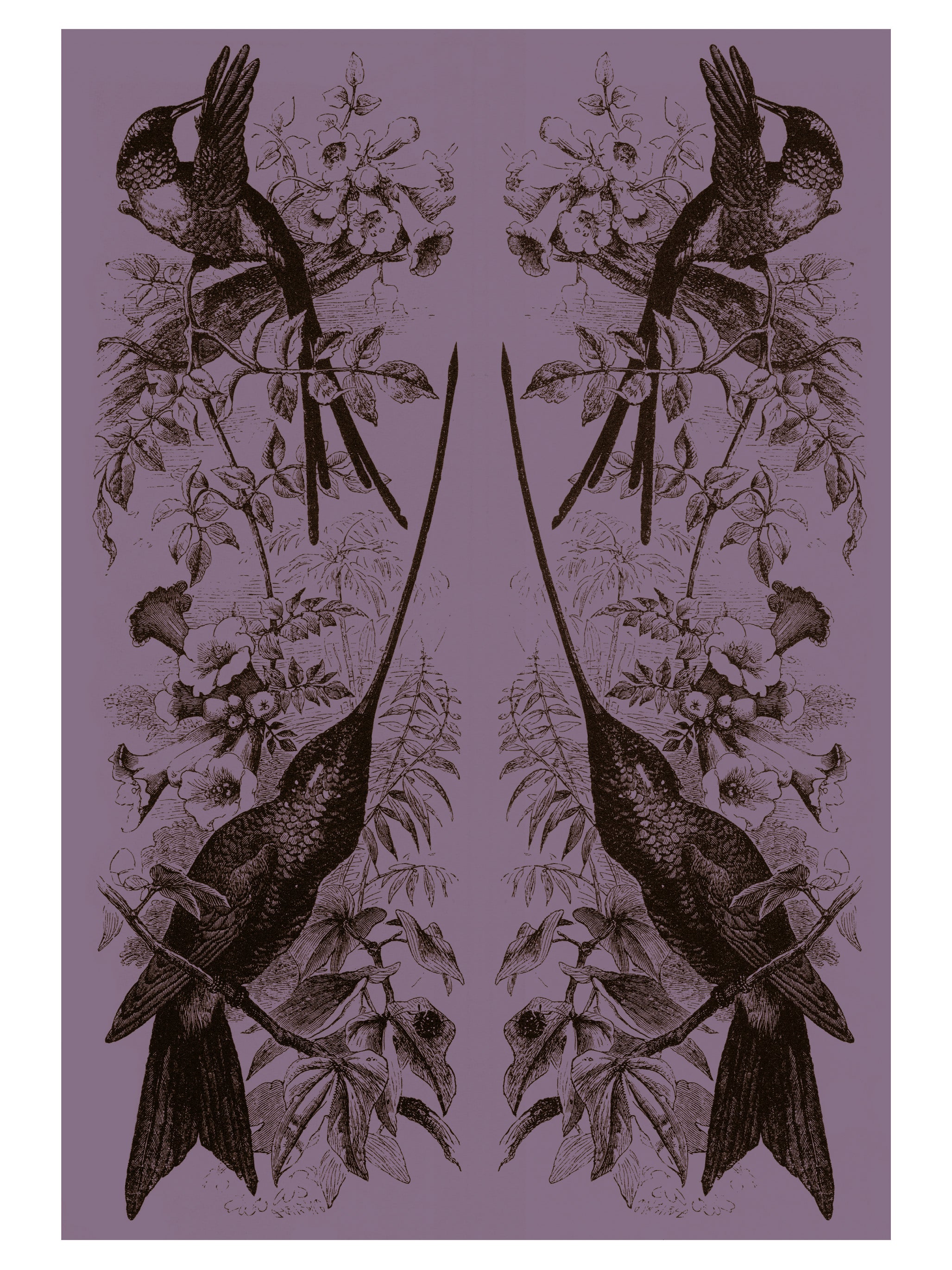 NATURE - Signature Poster - Birds - 21x30 cm - BENEFFITO | Leroy Merlin