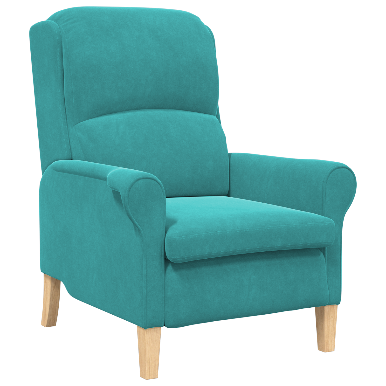 Fauteuil de Salon | Chaise de relax | Fauteuil Turquoise Turquoise ...
