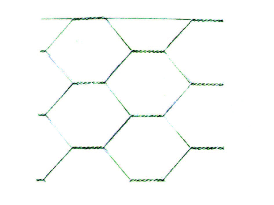 MAILLE TRIPLE GALVANISÉE 25/3 DAISY CAVATORTA M/N° 25/3 N° 3=MM 0,8 L.MT 50 H.CM 50 | Leroy Merlin