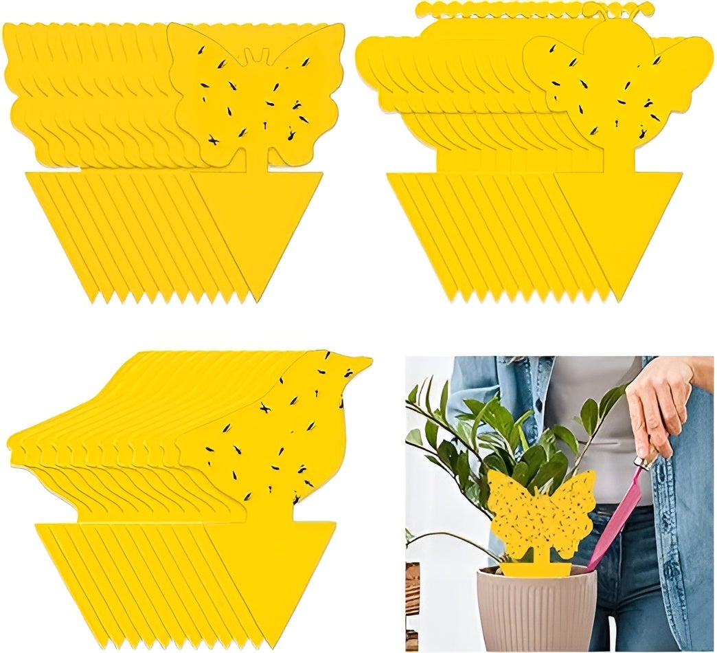 Pièges à insectes, 36 autocollants jaunes pour attrape-mouches, pièges ...