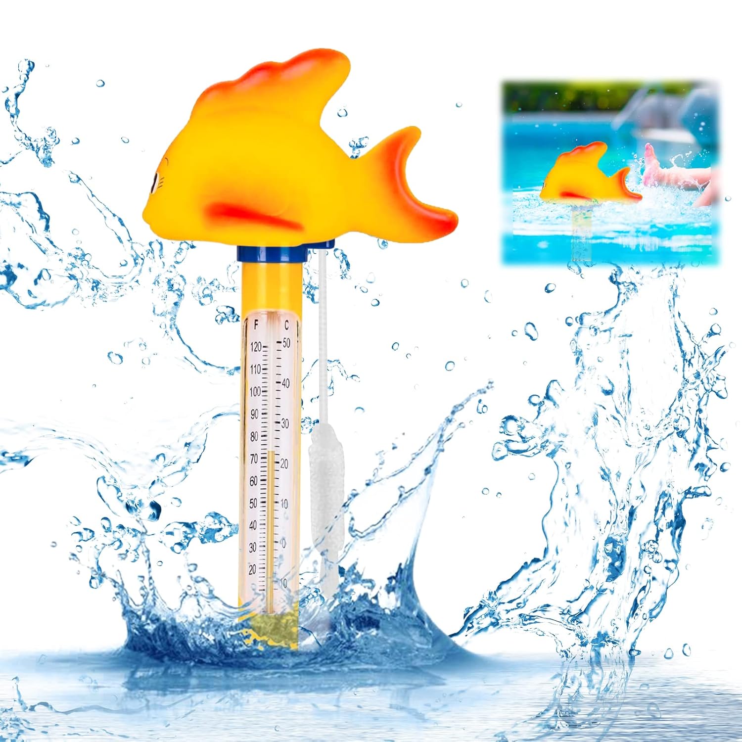 Thermomètre flottantpiscinecordelette de fixationpiscines intérieures ...